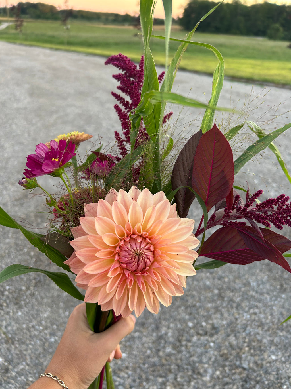 Bloomquist Alan – Salty Creek Flower Farm